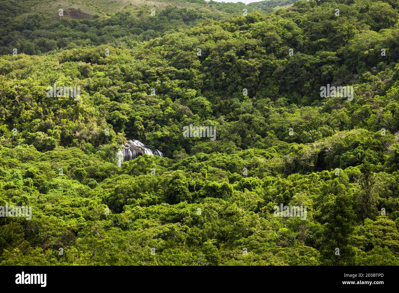 Distant view of Ngardmau Waterfall and deep jngule of rain forest ...