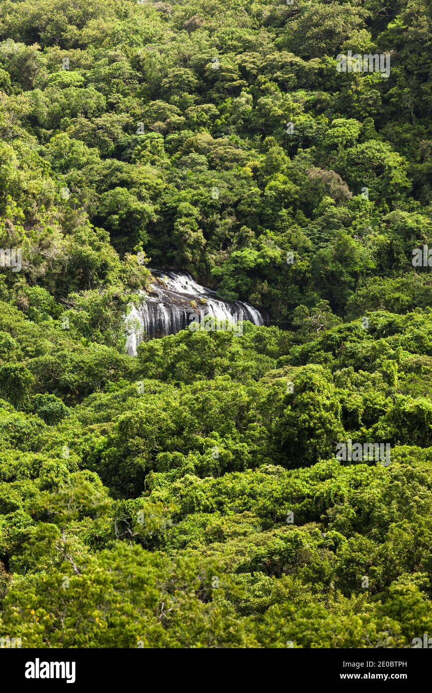 Distant view of Ngardmau Waterfall and deep jngule of rain forest ...