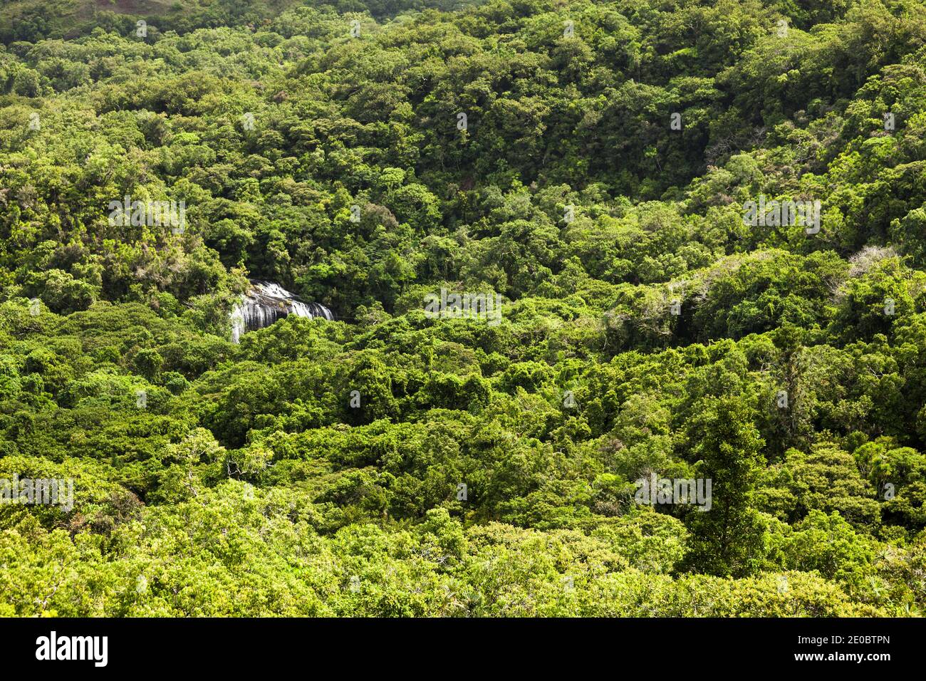 Distant view of Ngardmau Waterfall and deep jngule of rain forest ...