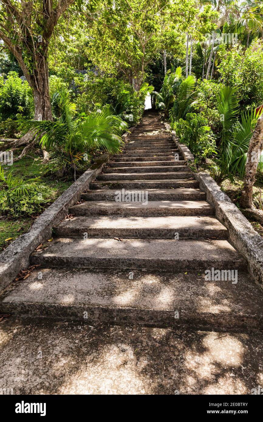 Steps to ruins of Japanese WWII Lighthouse, Ngarchelong, Arekalong ...