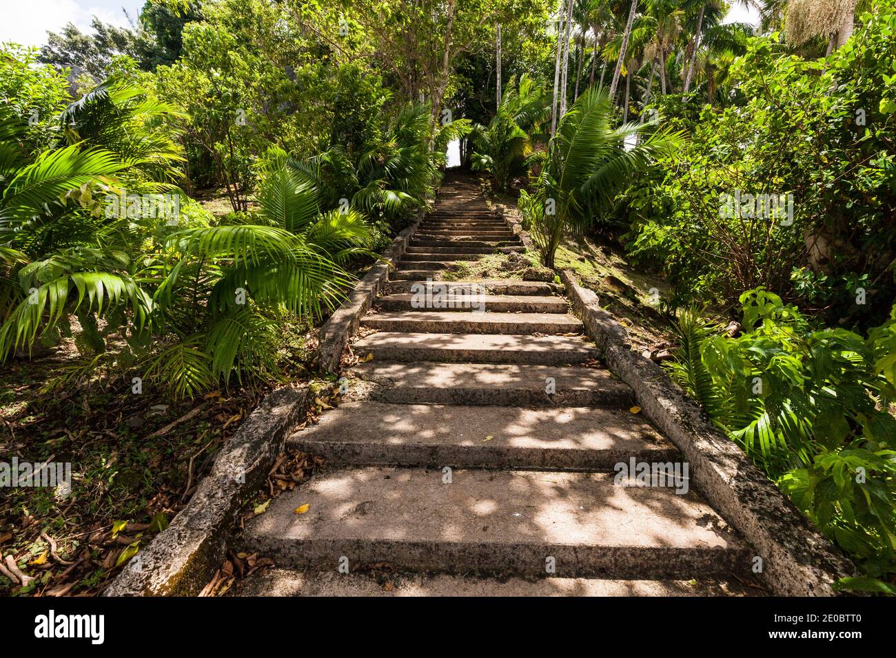 Steps to ruins of Japanese WWII Lighthouse, Ngarchelong, Arekalong ...