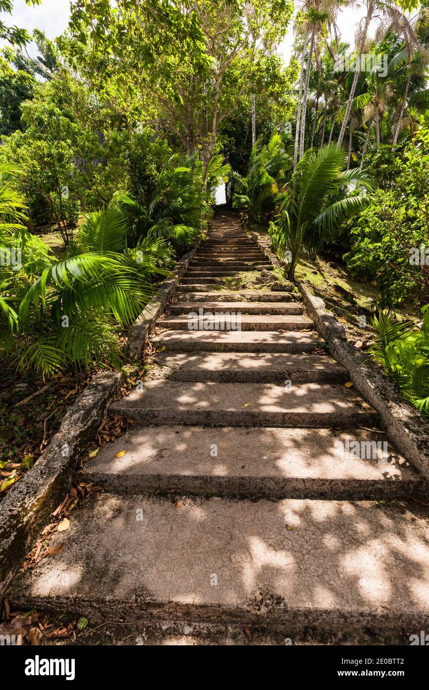 Steps to ruins of Japanese WWII Lighthouse, Ngarchelong, Arekalong ...