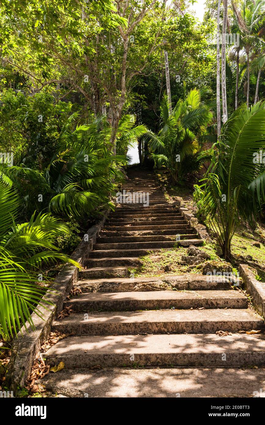 Steps to ruins of Japanese WWII Lighthouse, Ngarchelong, Arekalong ...