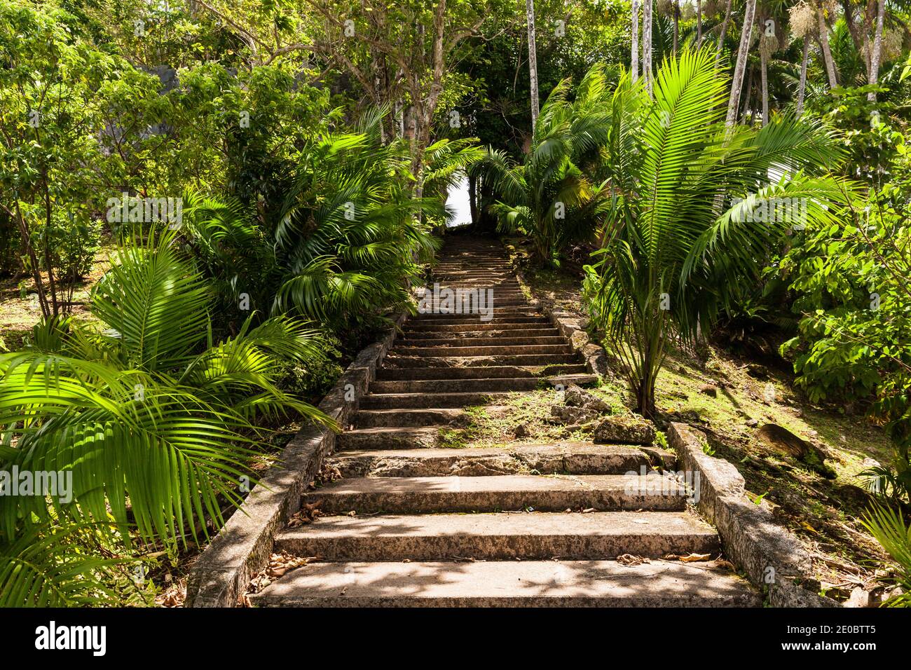 Steps to ruins of Japanese WWII Lighthouse, Ngarchelong, Arekalong ...