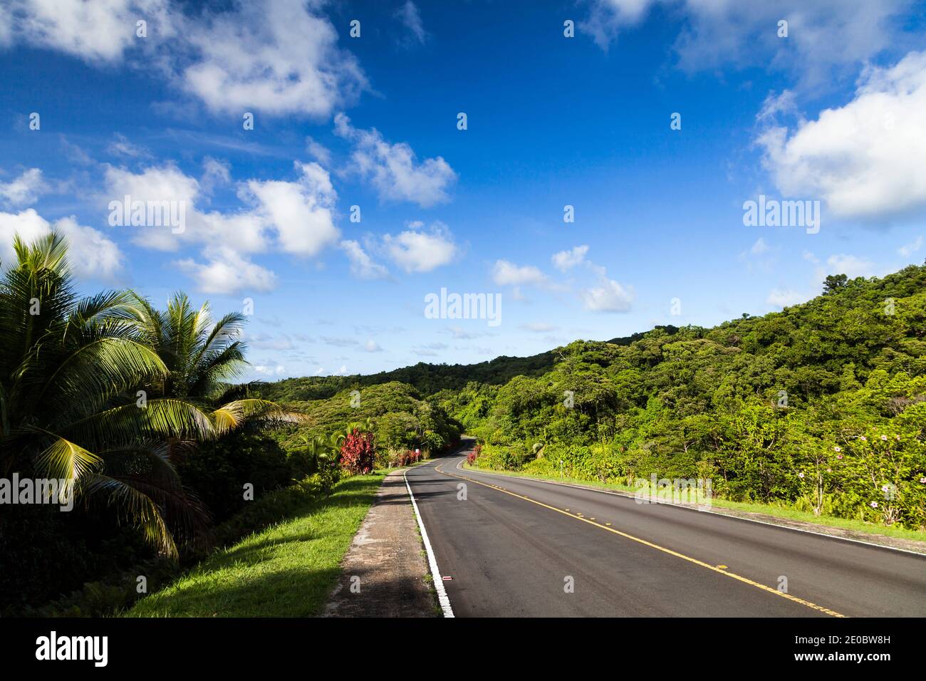 Roads forest hi-res stock photography and images - Alamy