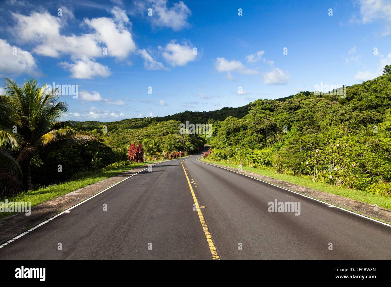 Asphalt jungle hi-res stock photography and images - Alamy