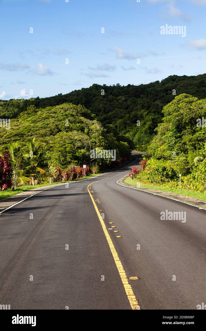 Main national road running in the rain forest, Compact Road, Ngchesar ...