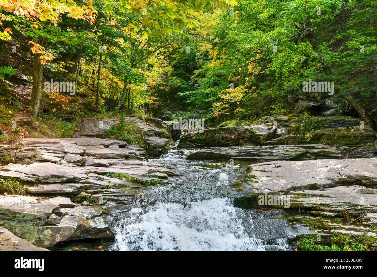Kaaterskill Falls and Fall Foliage in The Catskill Mountains in upstate ...