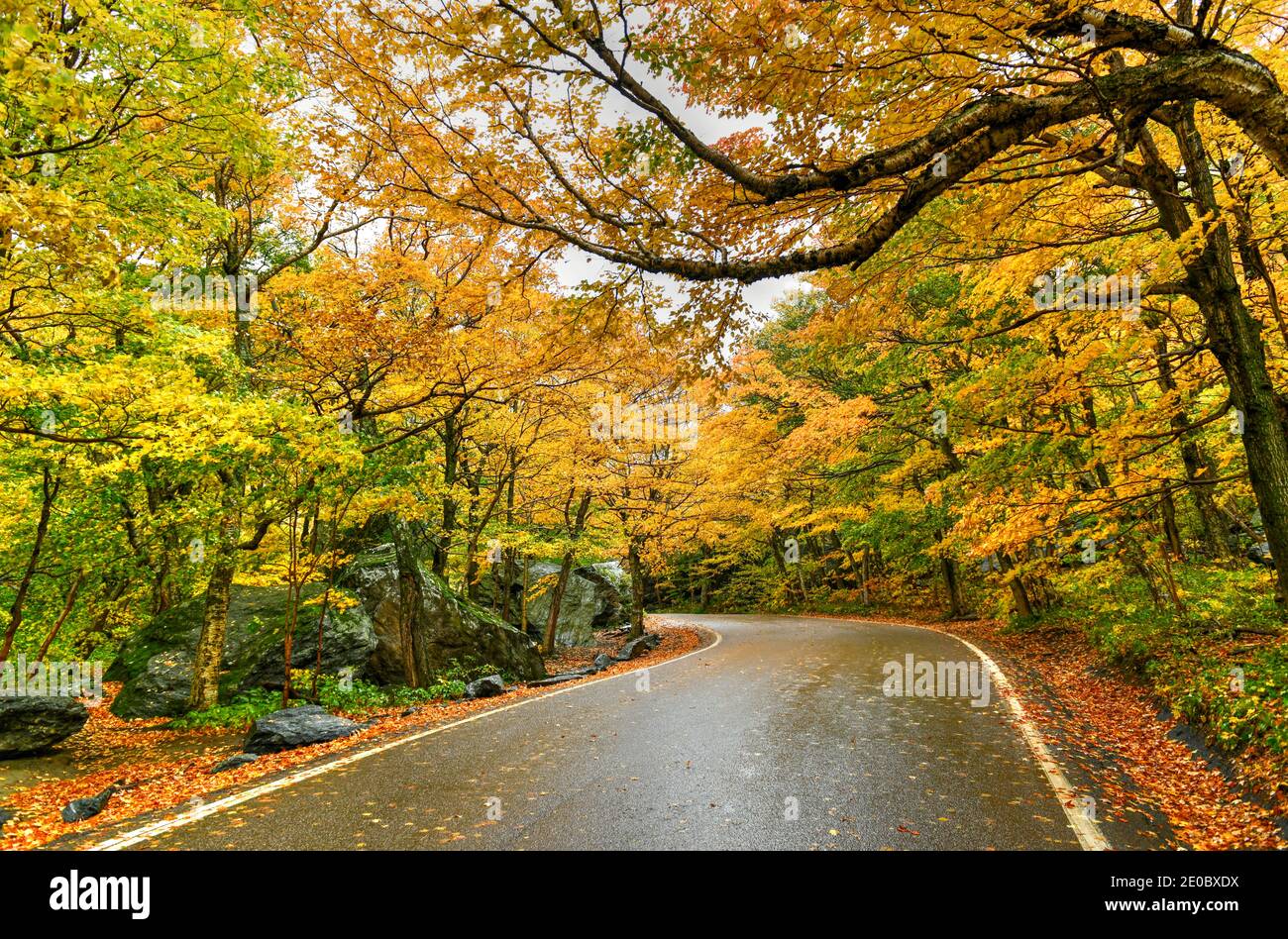 Panoramic view of peak fall foliage in Smugglers Notch, Vermont Stock ...