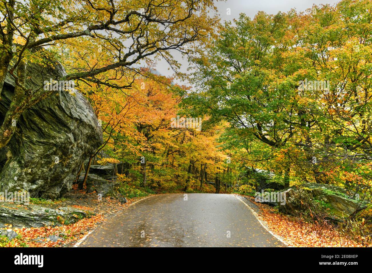 Panoramic view of peak fall foliage in Smugglers Notch, Vermont Stock ...