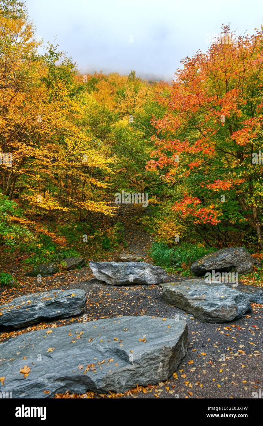 Panoramic view of peak fall foliage in Smugglers Notch, Vermont Stock ...