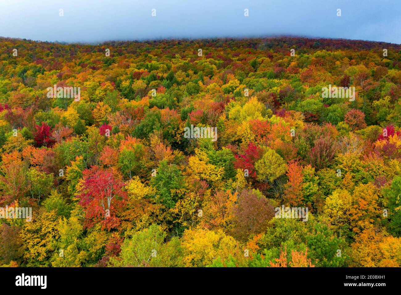 Aerial view of Vermont and the surrounding area during peak foliage in ...