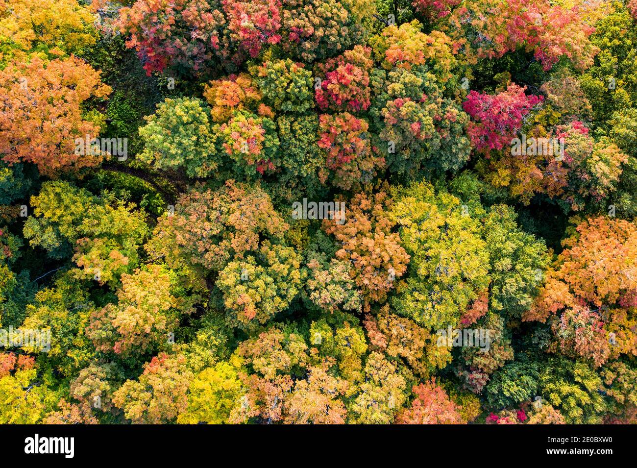 Aerial view of Mount Mansfield and the surrounding area during peak ...
