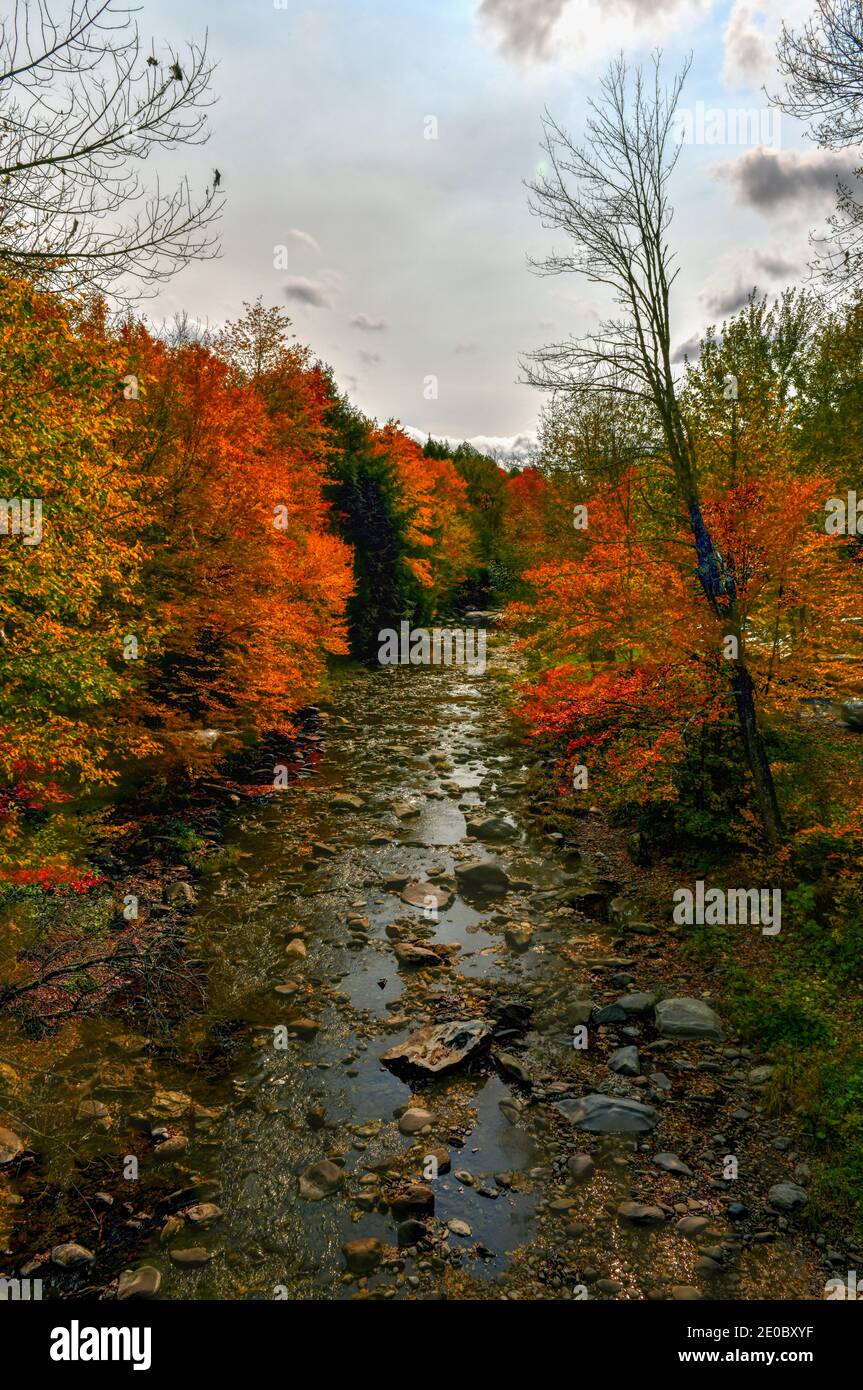 Grist Mill Covered Bridge in Cambridge, Vermont during fall foliage ...