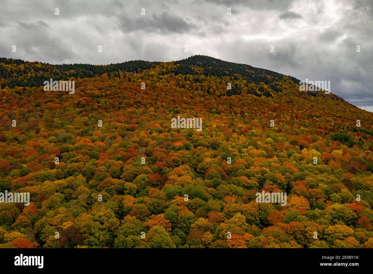 Aerial view of Vermont and the surrounding area during peak foliage in ...