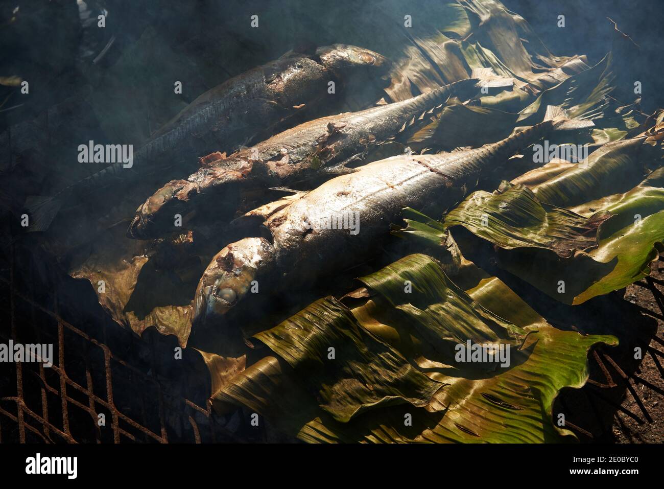 Hardtail scadhome hi-res stock photography and images - Alamy