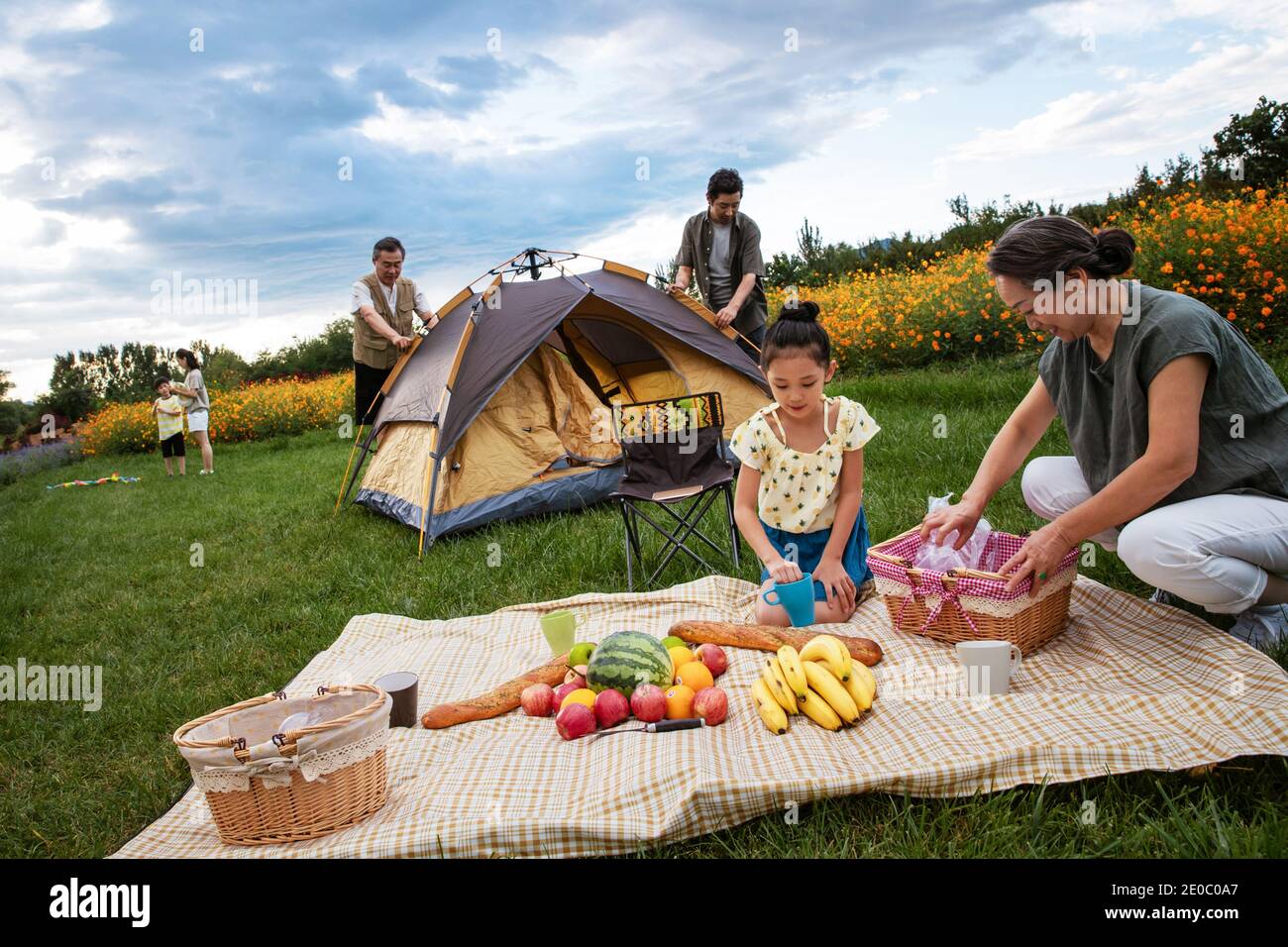 Happy family in the suburbs have a picnic Stock Photo - Alamy