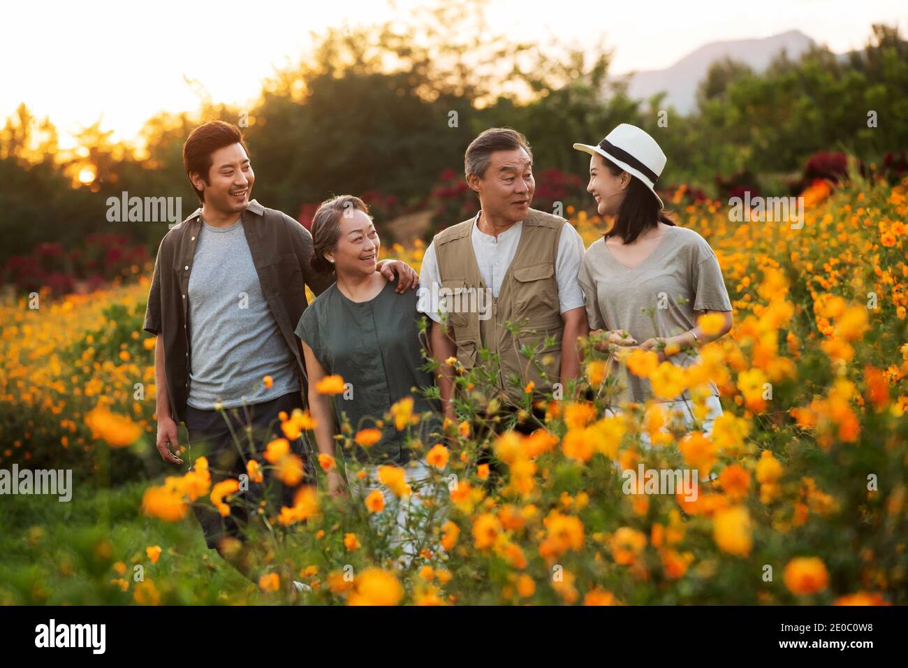 The flowers in the happy family Stock Photo - Alamy