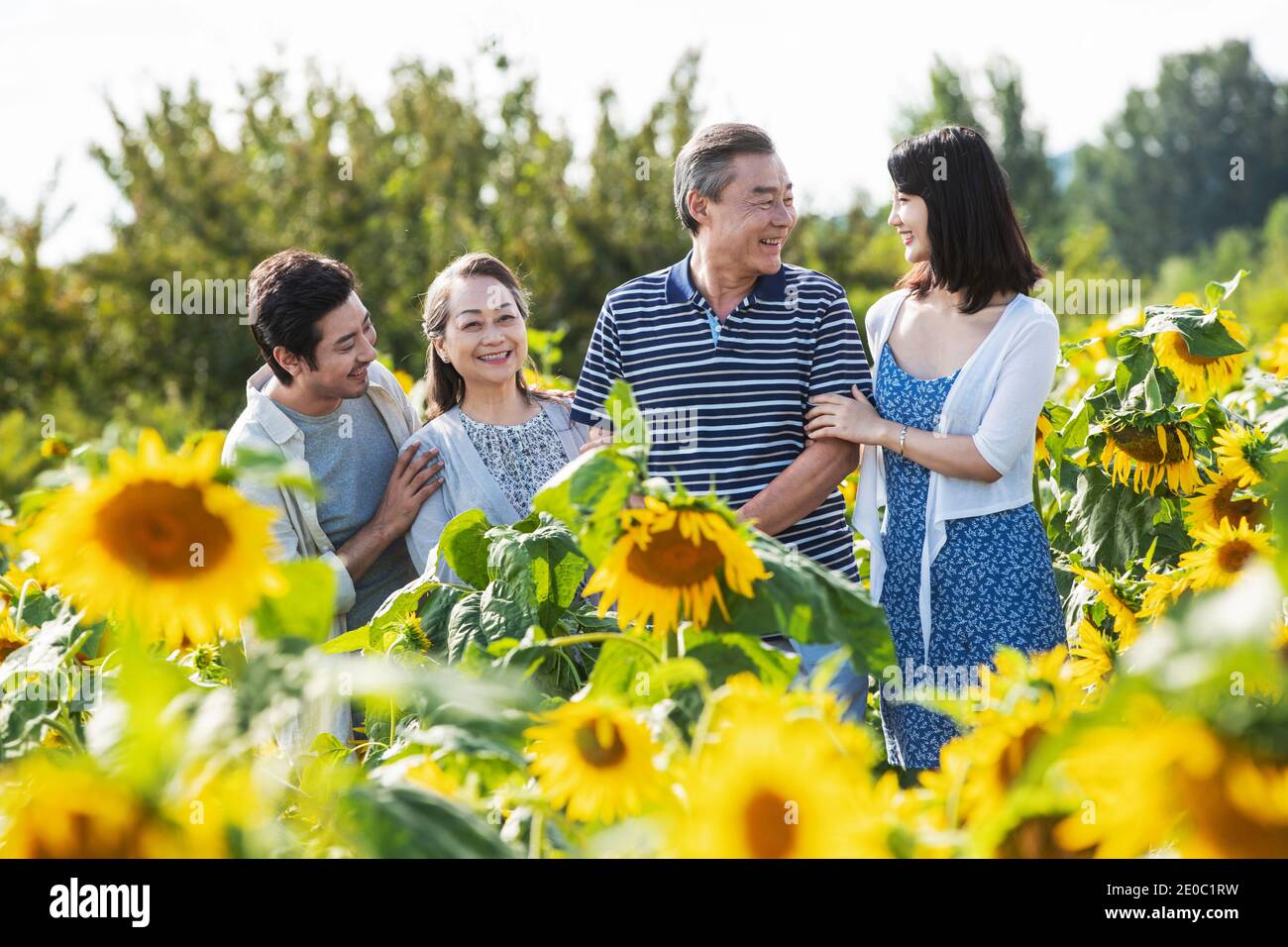 Spend happy family in the sea Stock Photo - Alamy