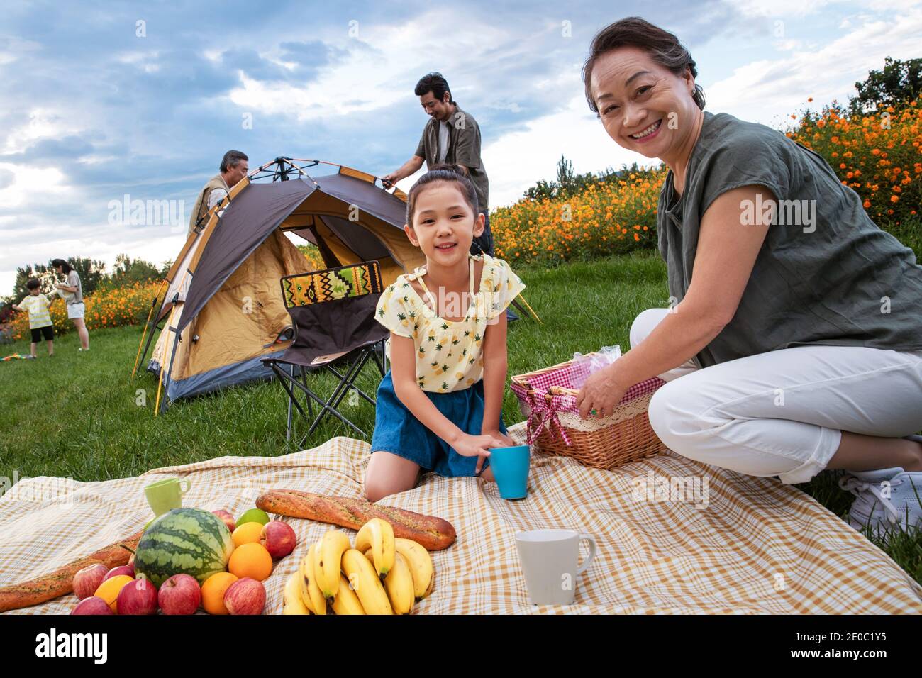 Indian family picnic hi-res stock photography and images - Alamy