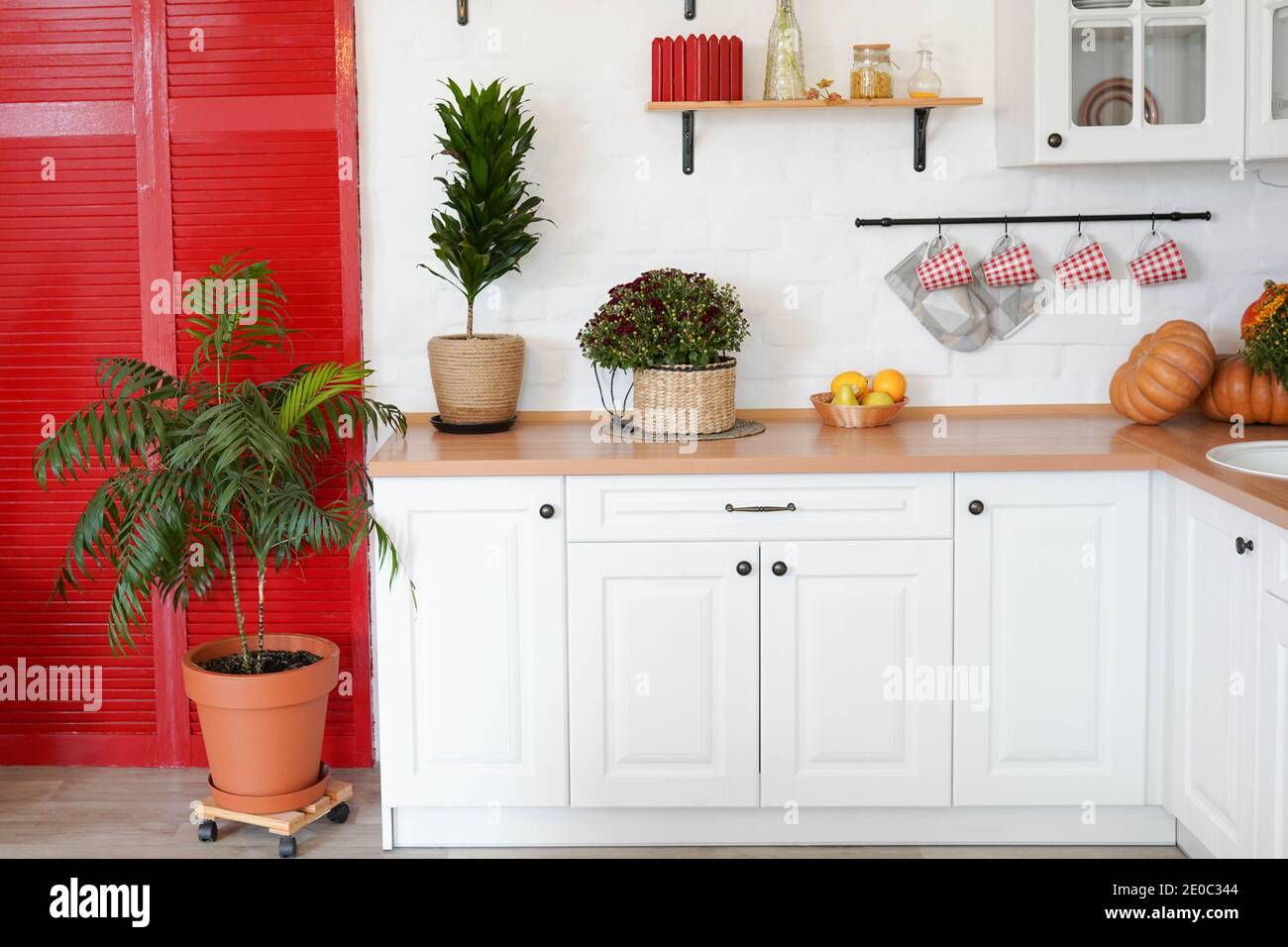 autumn kitchen decoration with pumpkins and oranges Stock Photo - Alamy