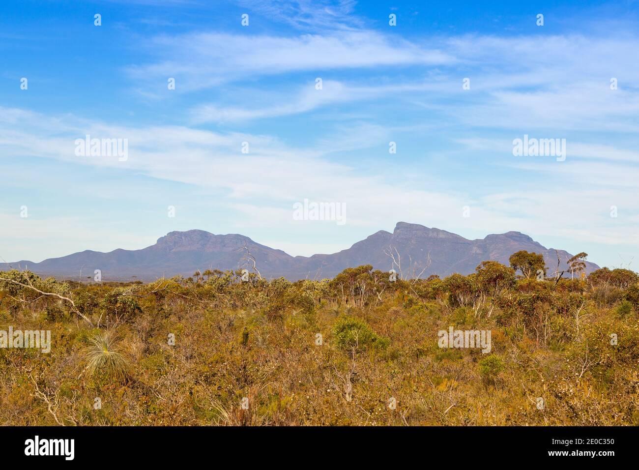 The wonderful landscape in the Stirling Range Nationalpark north of ...