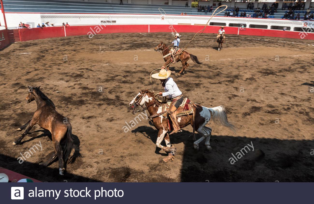Sombrero Ranch High Resolution Stock Photography and Images - Alamy
