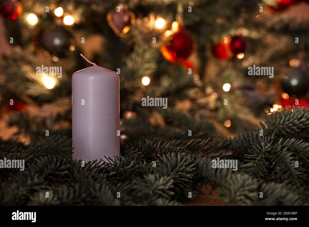 Candlestick tree hi-res stock photography and images - Alamy