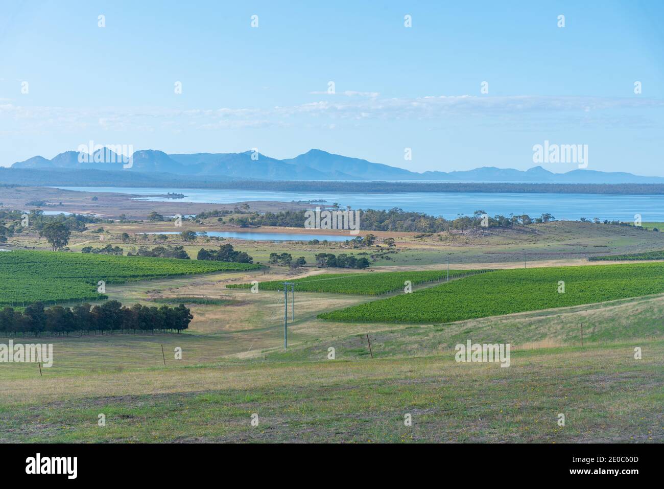 Aerial view of vineyards at Devil's Corner in Tasmania, Australia Stock ...