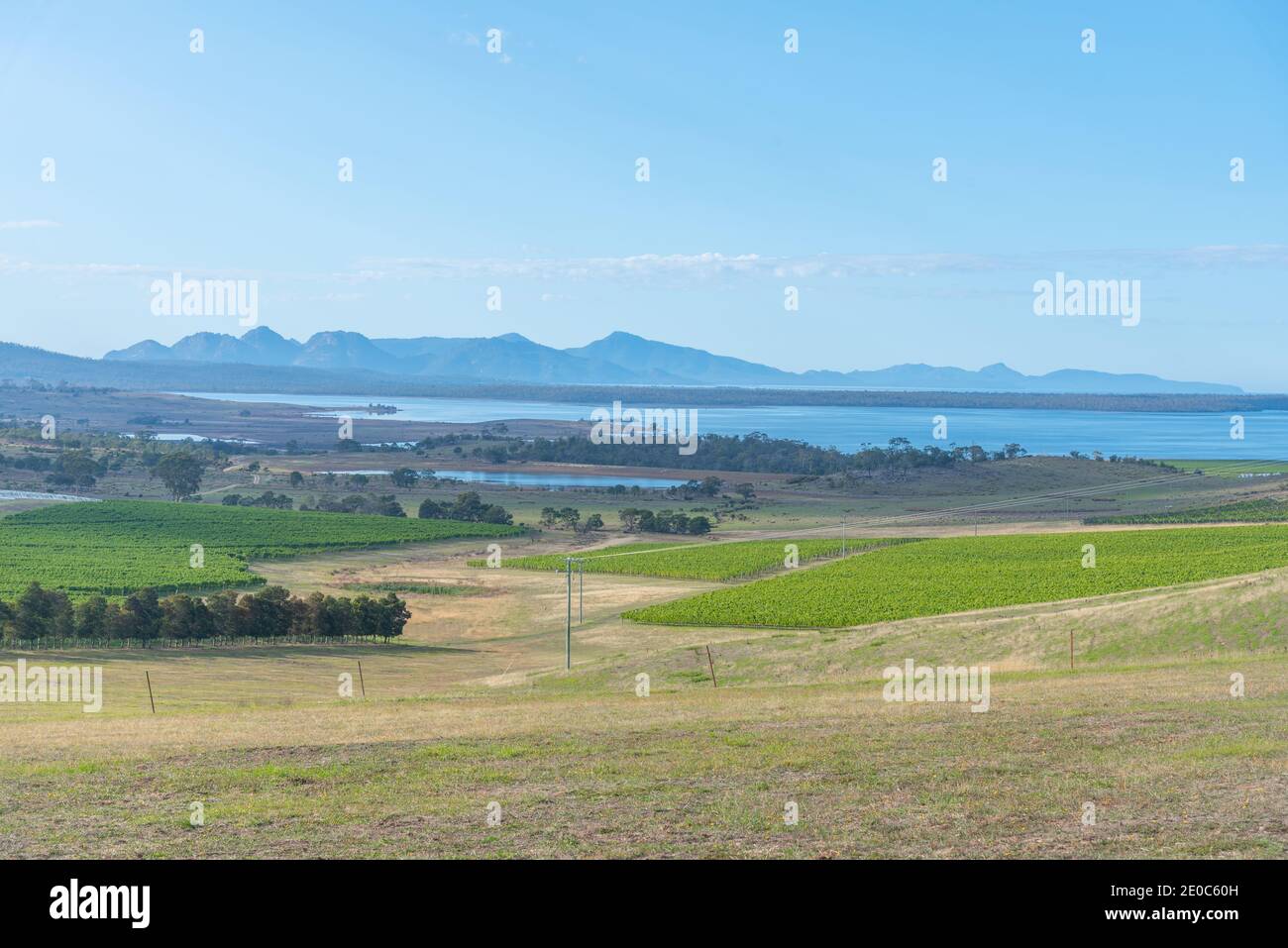 Aerial view of vineyards at Devil's Corner in Tasmania, Australia Stock ...