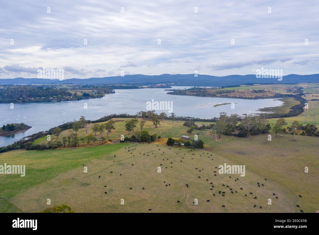 Aerial view of Tamar river in Tasmania, Australia Stock Photo - Alamy