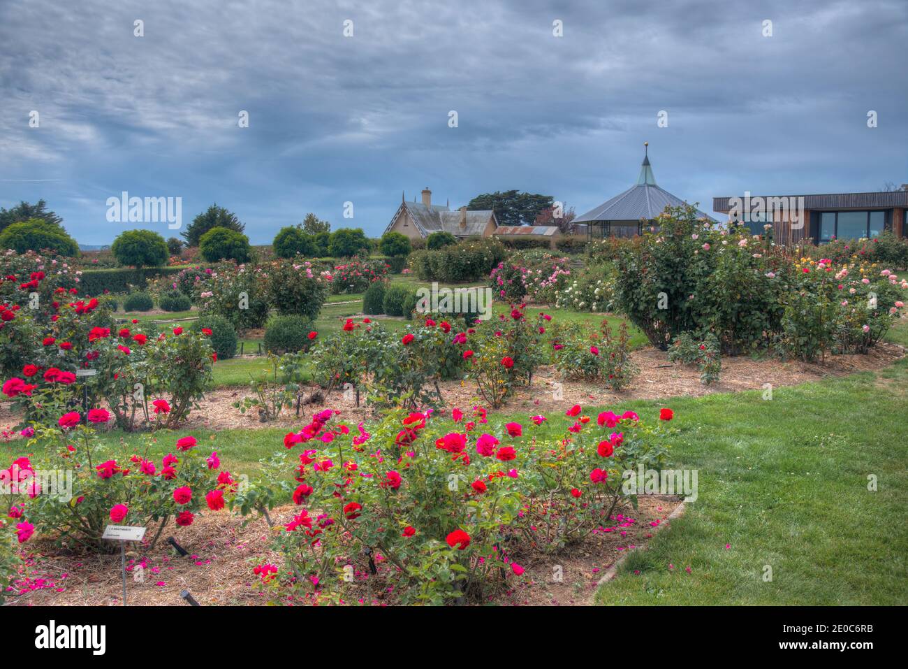 Rose garden at Woolmers estate in Tasmania, Australia Stock Photo - Alamy