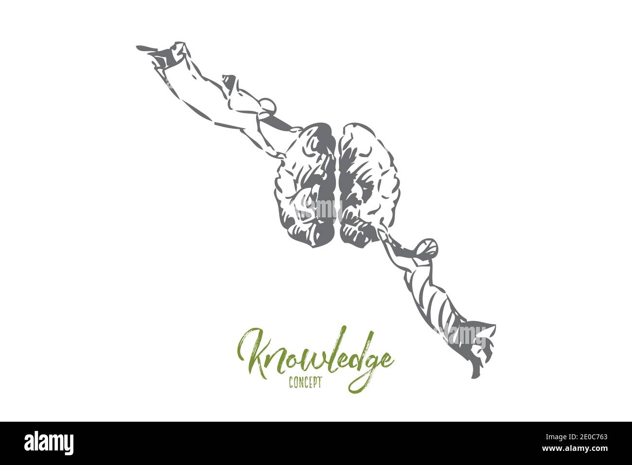 Knowledge concept sketch. Flying muslim man and woman holding brain ...