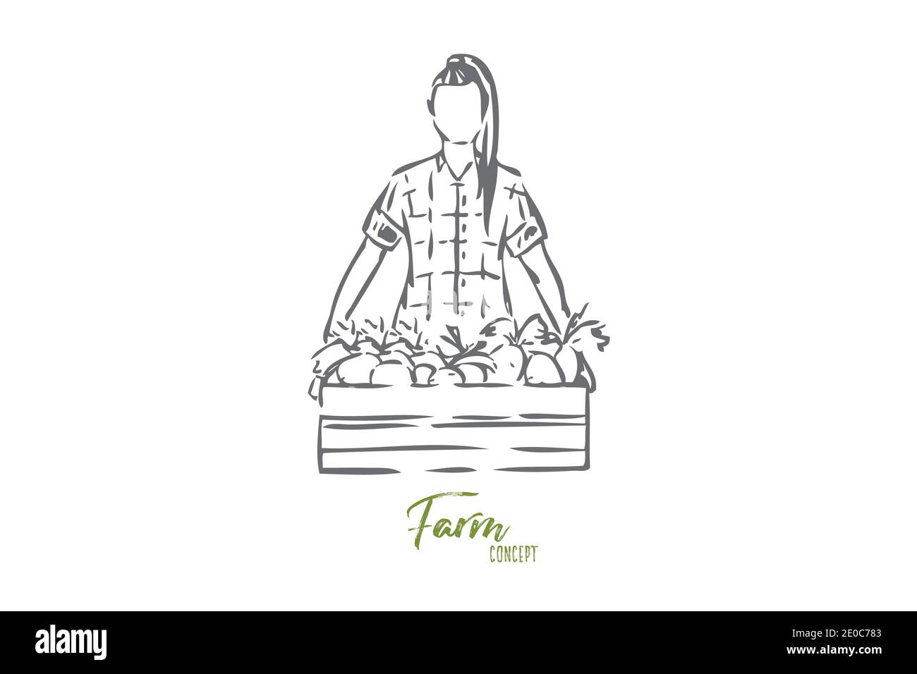 Box of harvest concept sketch. Woman, agriculture worker collecting ...