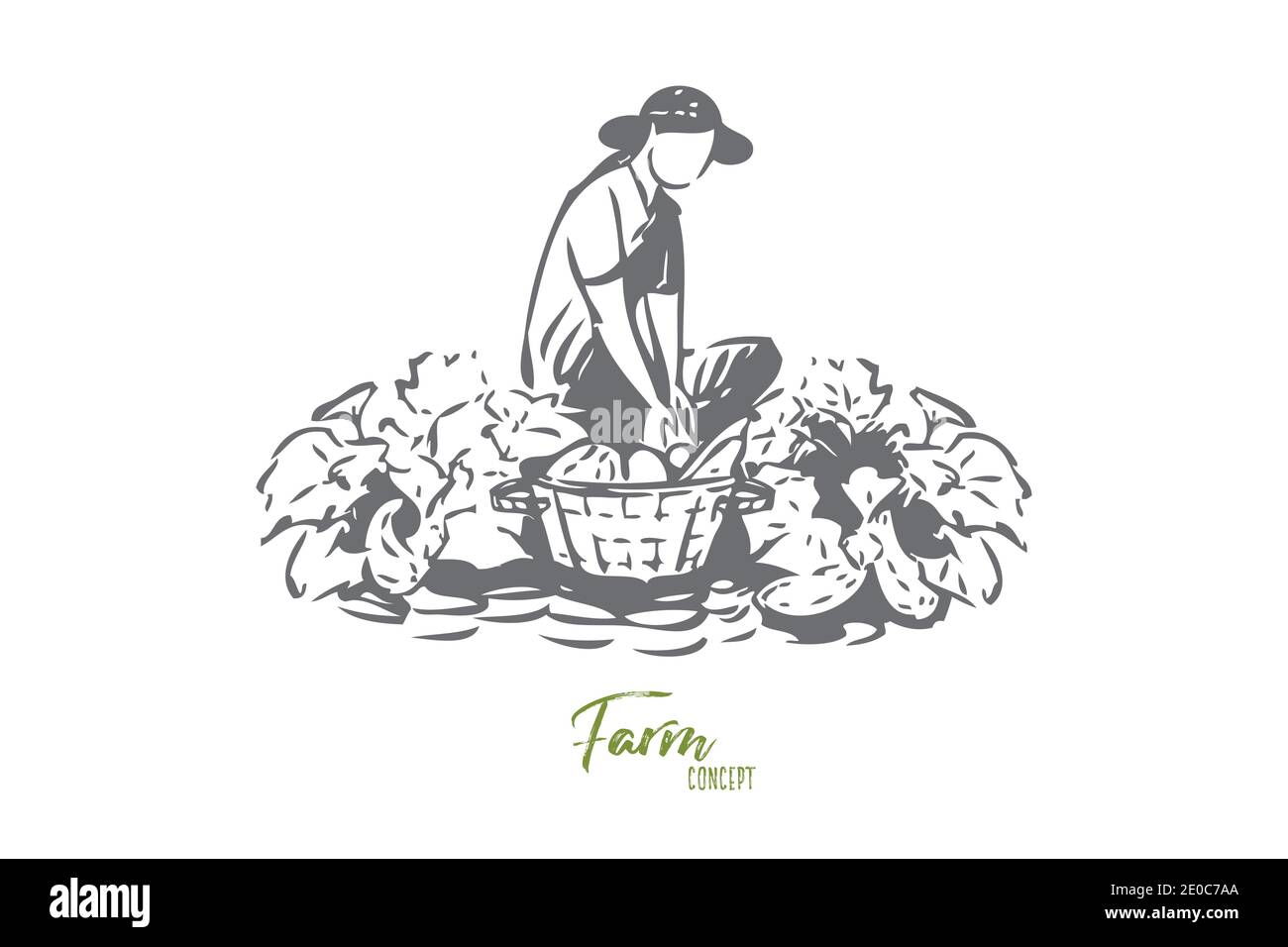 Food econ Stock Vector Images - Alamy