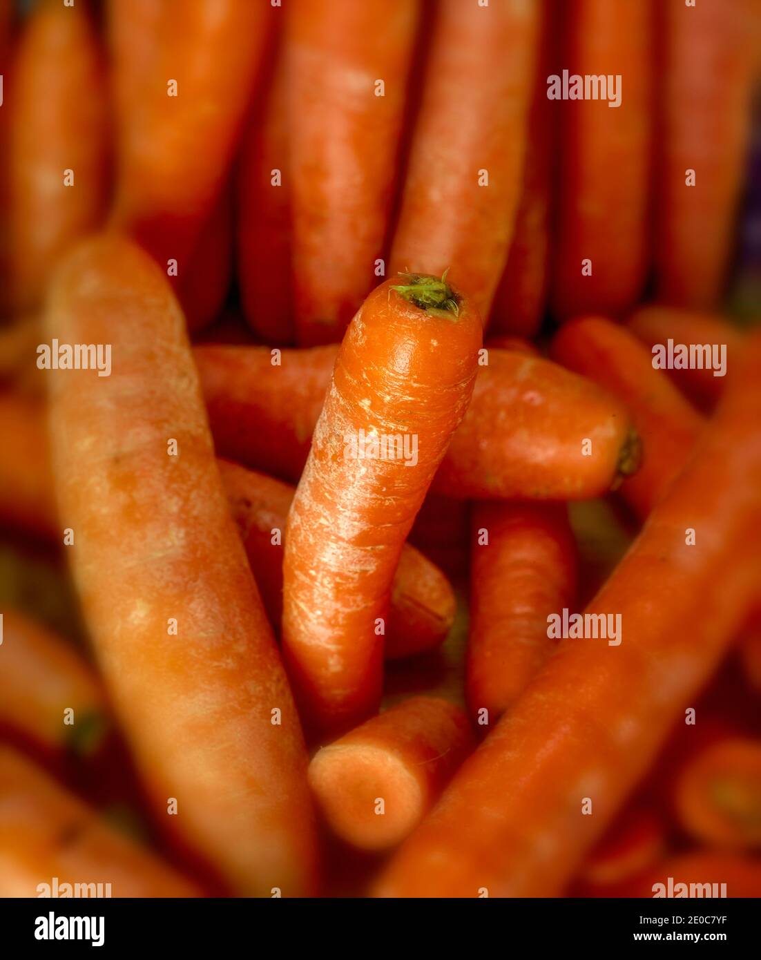 Carrots, natural food ingredient representation Stock Photo - Alamy