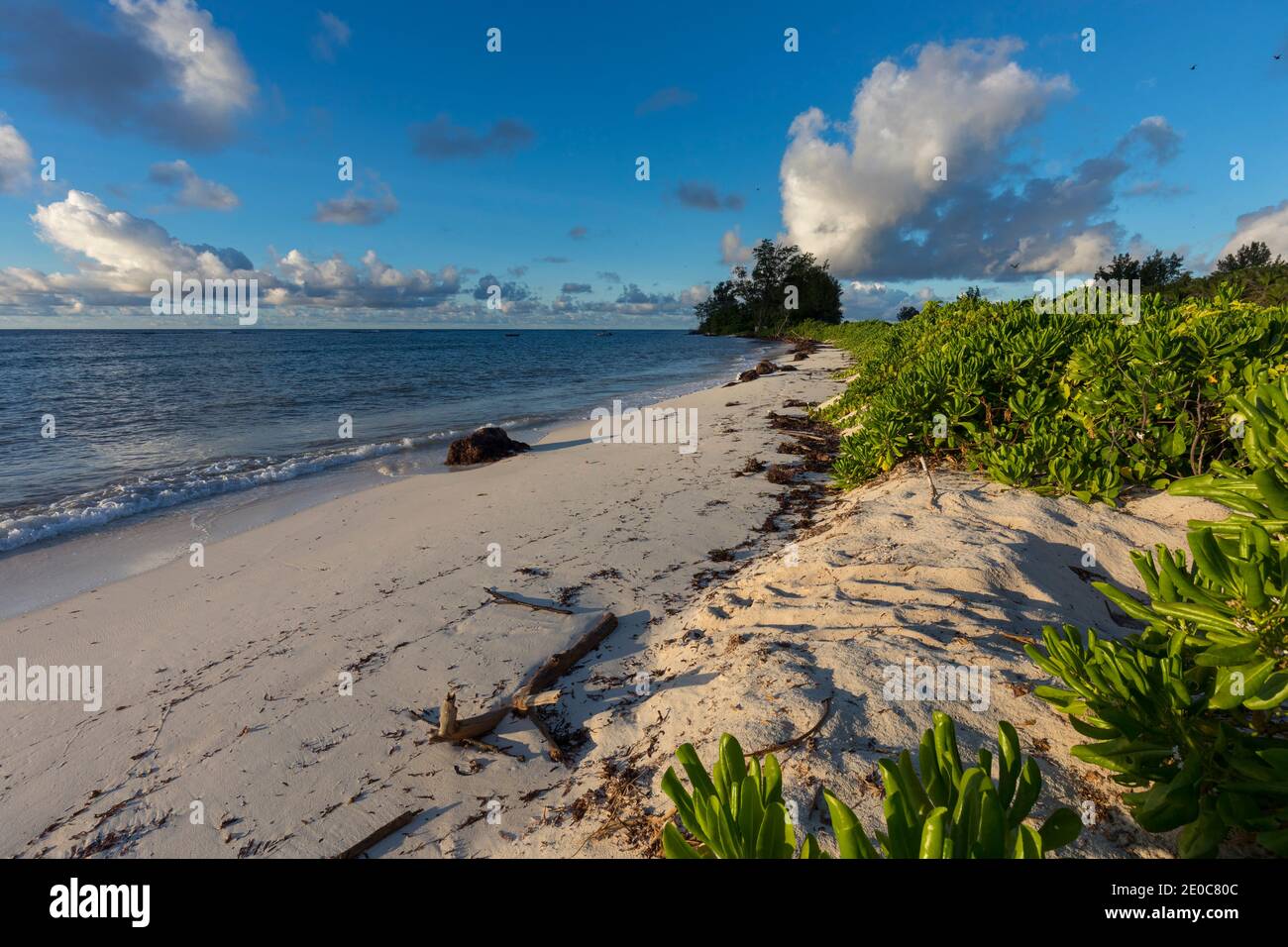 Beach; Bird Island; Seychelles Stock Photo - Alamy
