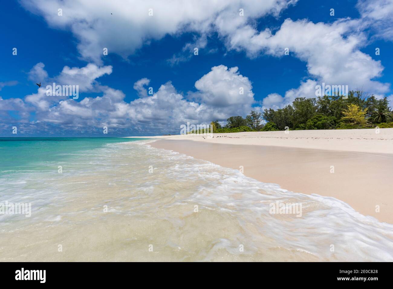 Bird island seychelles hi-res stock photography and images - Alamy