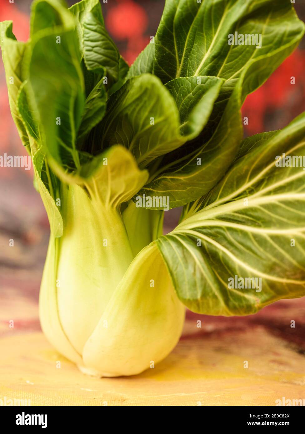 Pok Choi, leafy vegetable ingredient portrait Stock Photo - Alamy