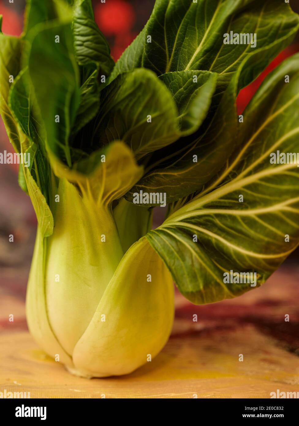 Pok Choi, leafy vegetable ingredient portrait Stock Photo - Alamy