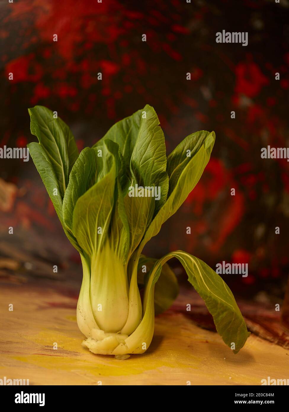 Bok Choi, leafy vegetable still-life Stock Photo - Alamy