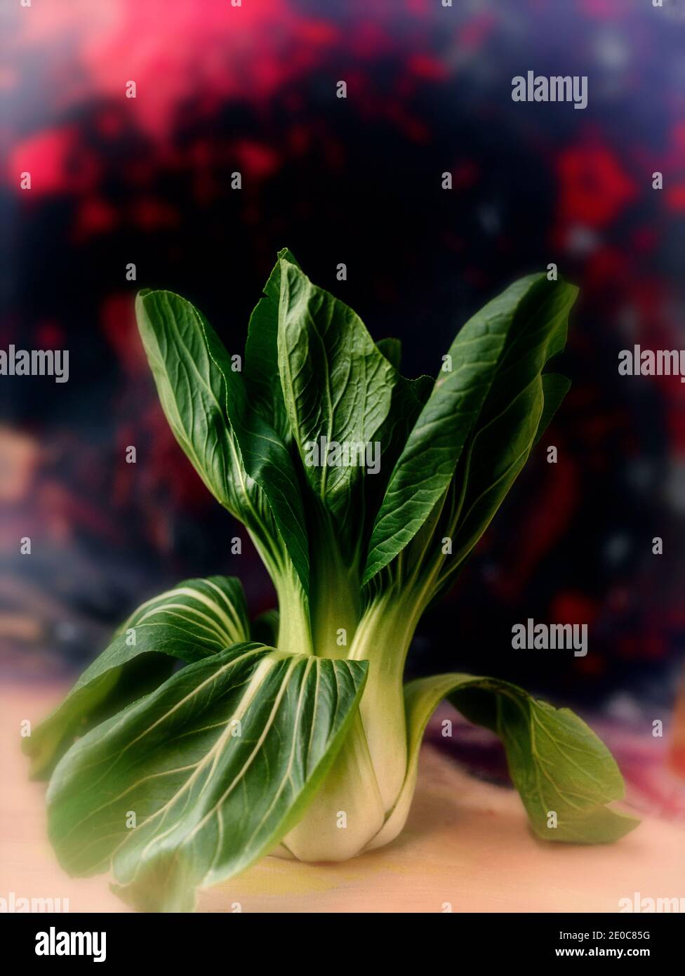 Bok Choi, leafy vegetable still-life Stock Photo - Alamy