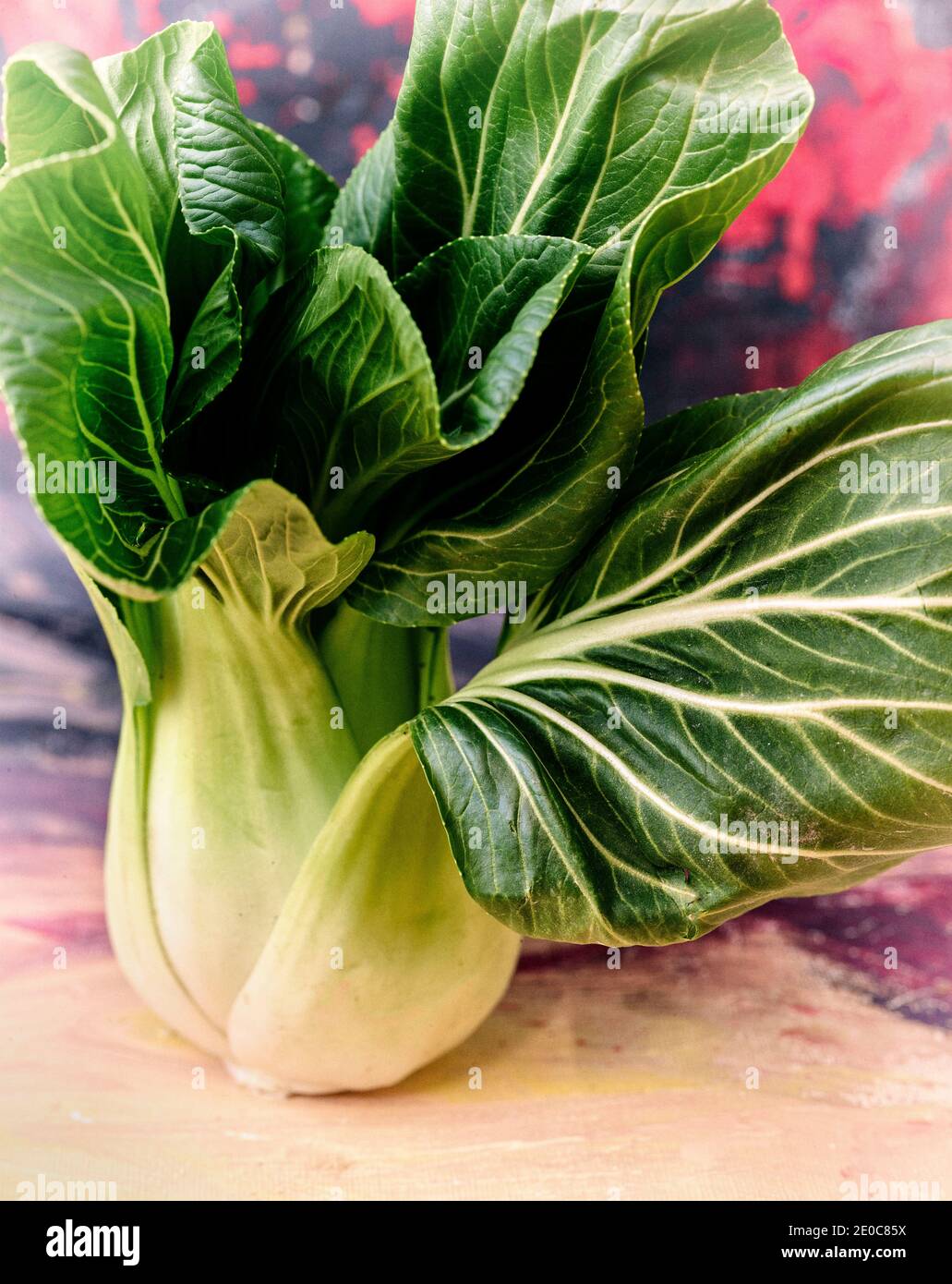 Bok Choi, leafy vegetable still-life Stock Photo - Alamy