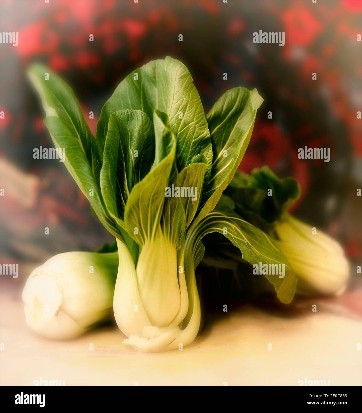 Bok Choi, leafy vegetable still-life Stock Photo - Alamy
