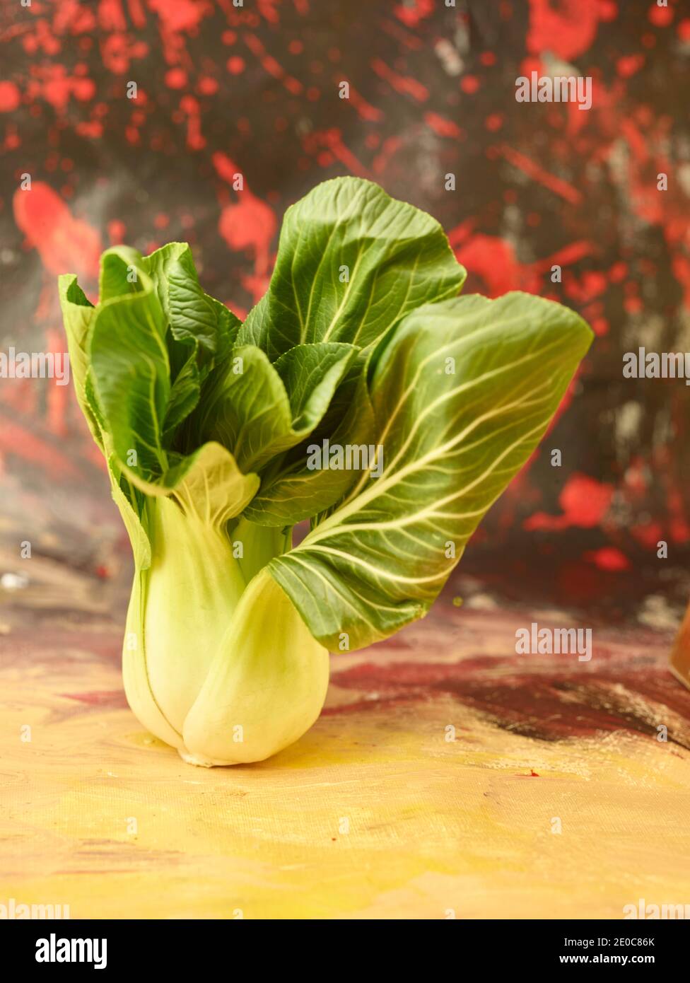Bok Choi, leafy vegetable still-life Stock Photo - Alamy