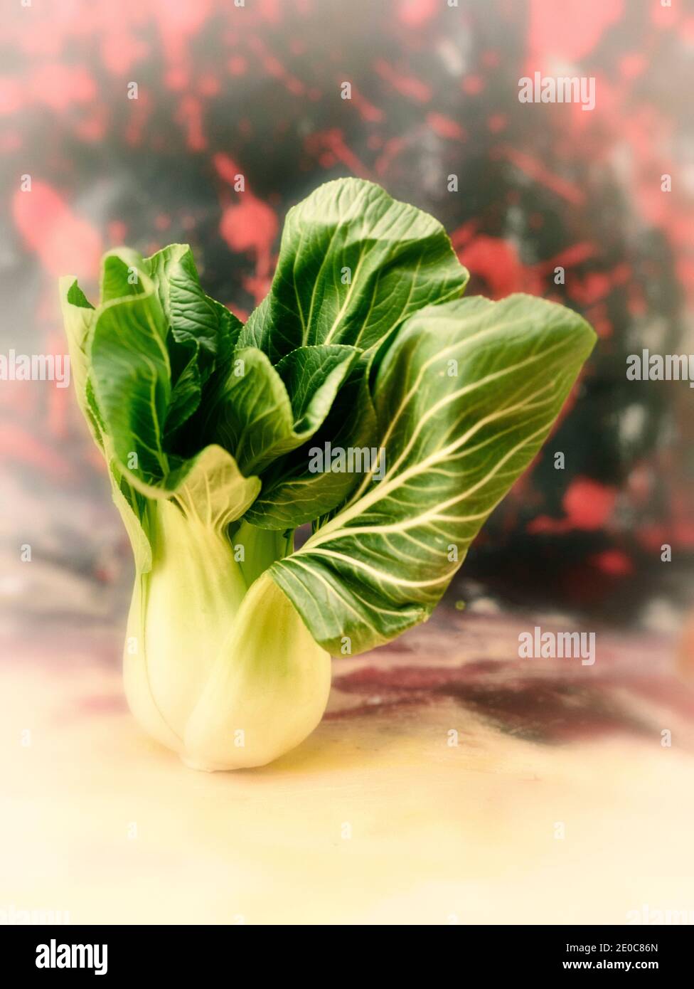 Hardy leafy greens hi-res stock photography and images - Alamy
