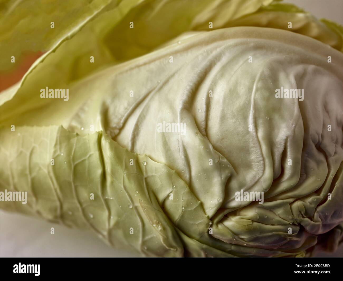 Trench foot disease hi-res stock photography and images - Alamy