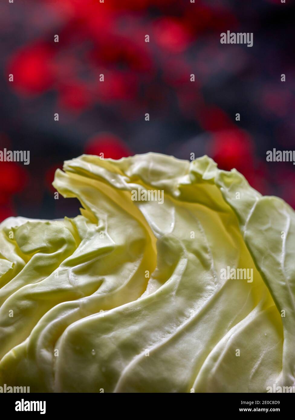 Close up of green pointed cabbage, food ingredient portrait Stock Photo ...