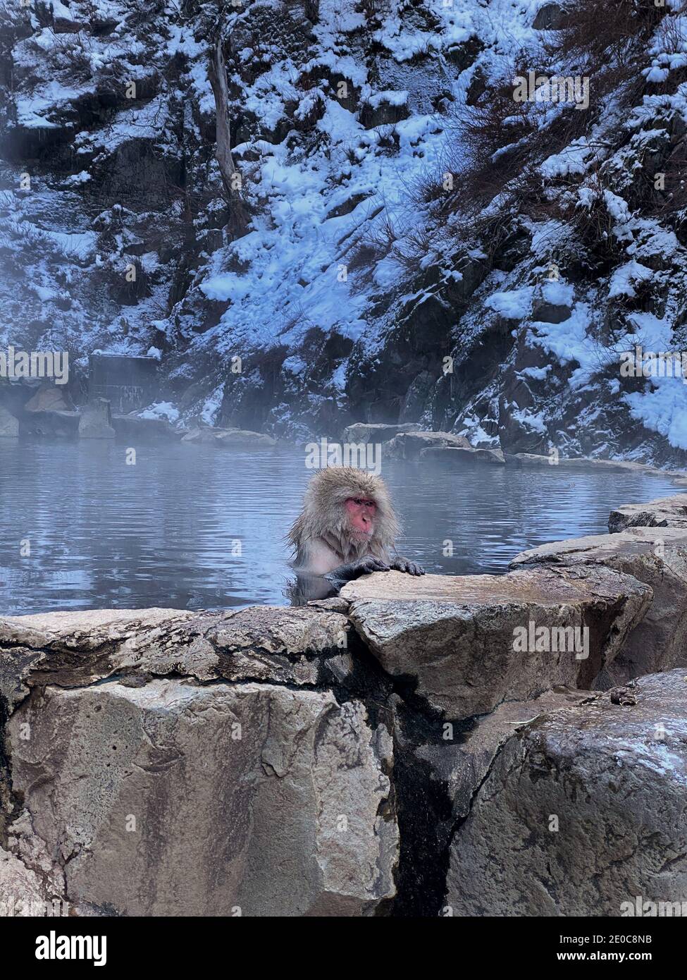 Hot springs snow japan hi-res stock photography and images - Alamy