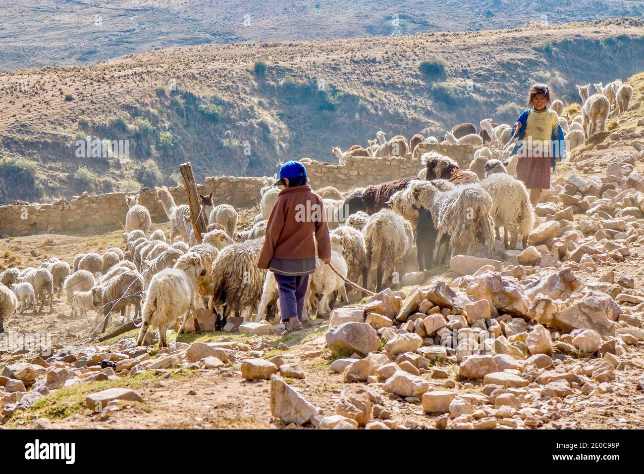 Real life in peru hi-res stock photography and images - Alamy